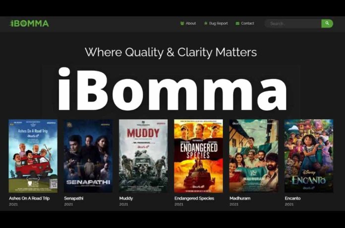 What is Ibomma? A Look at the South Indian Streaming Platform - Second ...